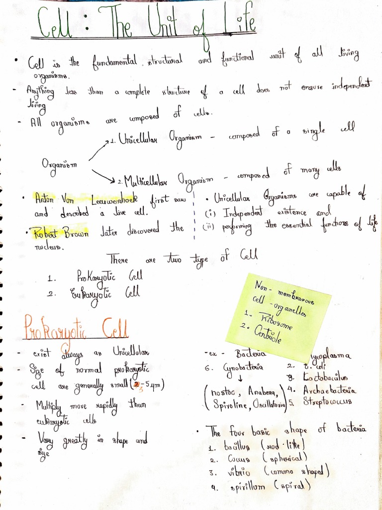 Cell (The Unit of Life) | PDF