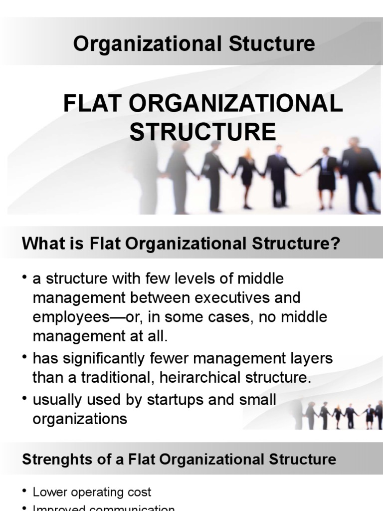 Flat Organizational Stucture | PDF