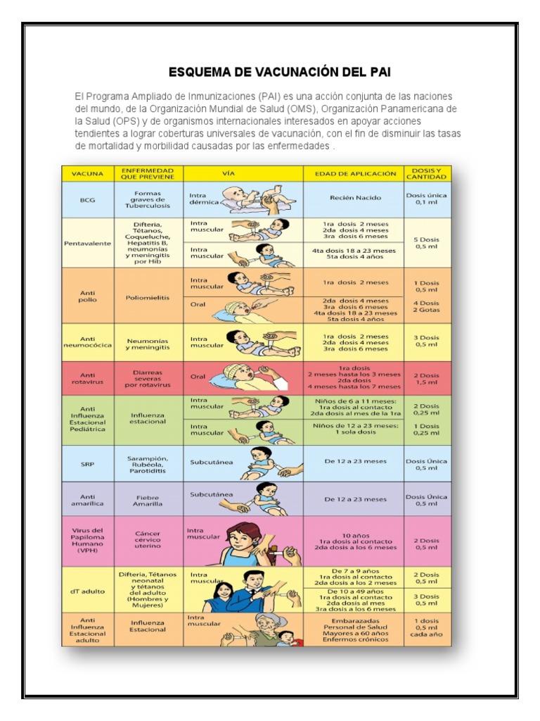 Esquema de Vacunación PAI 2023 | PDF | Virus | Vacunas