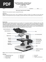 Autopsy of A Dill Pickle Person Lab | PDF | Abdomen | Anatomical Terms ...
