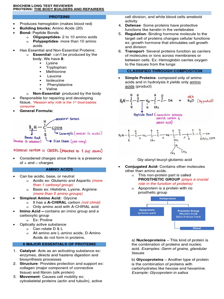 Biochem Proteins Reviewer | PDF | Amino Acid | Proteins