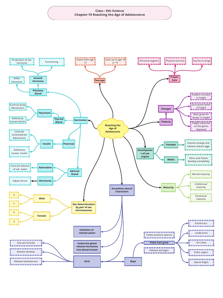 Chapter 10 Reaching The Age Of Adolescence Pdf Hormone Glands