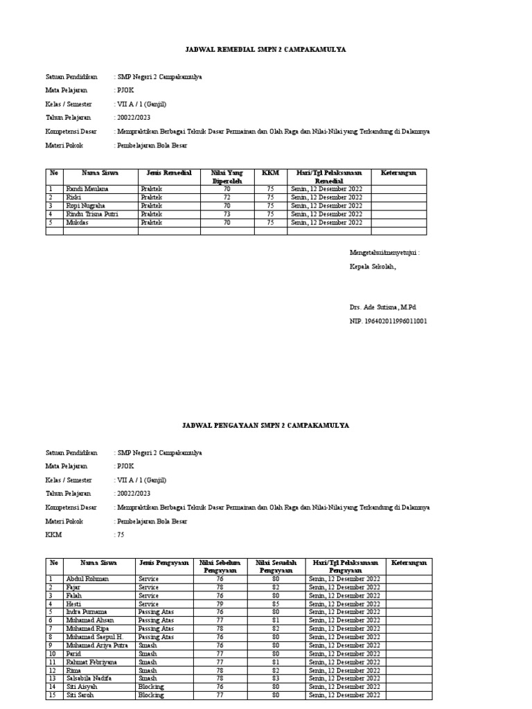 PROGRAM REMEDIal | PDF