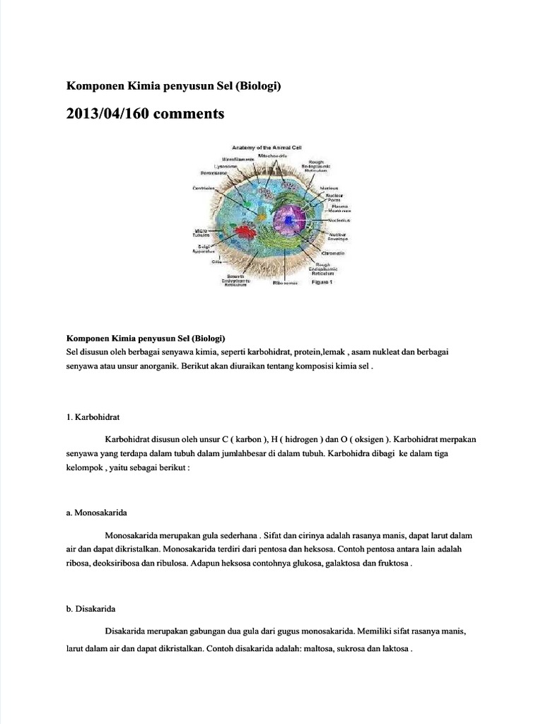 Komponen Kimia Penyusun Sel | PDF