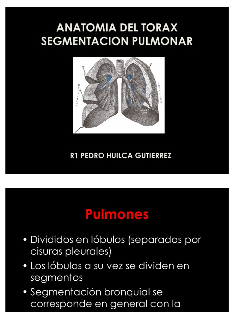 SEGMENTACION PULMONAR