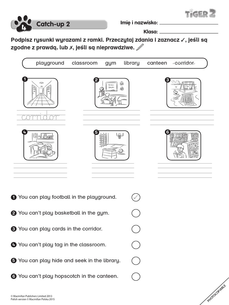 Tiger 2 TRF Unit 4 Catch-Up 2 | PDF