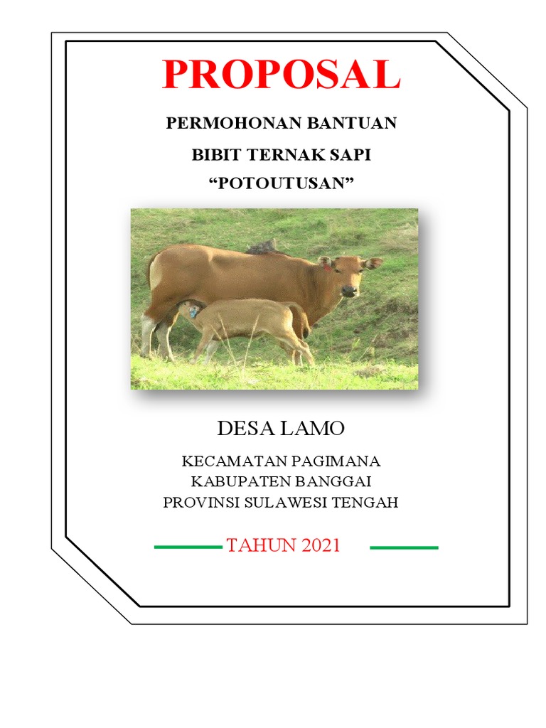 Proposal Ternak Sapi Desa Lamo | PDF