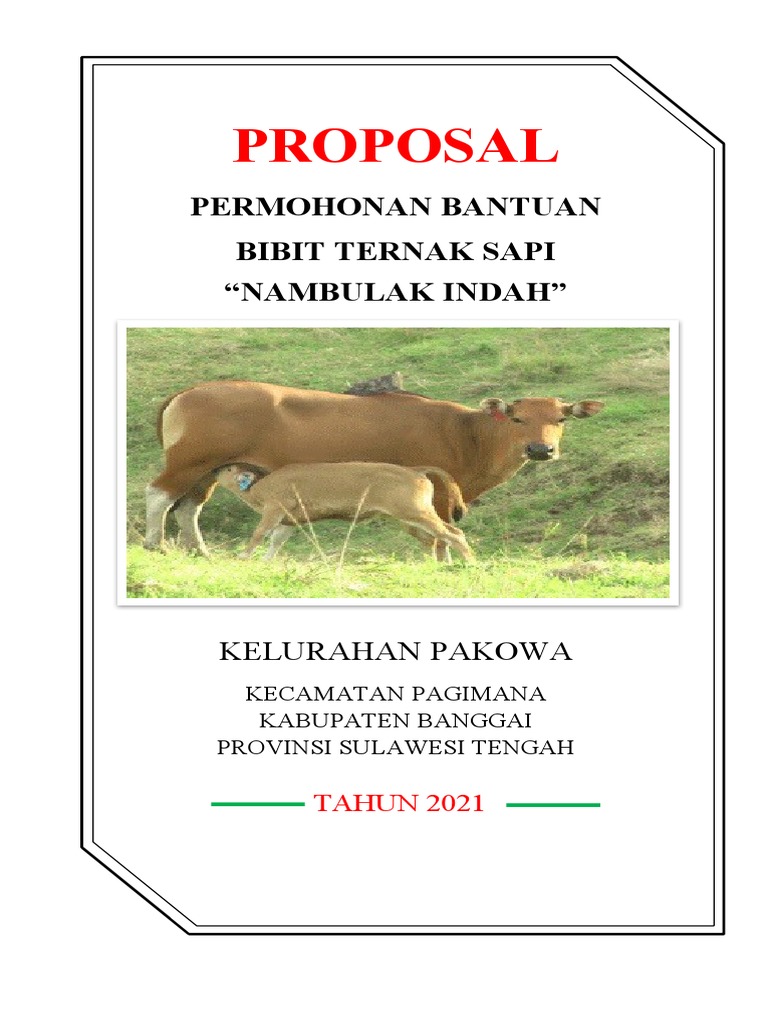 Proposal Ternak Sapi Kel. Pakowa | PDF