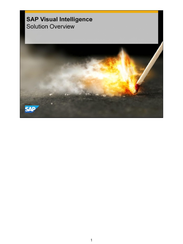 SAP Visual Intelligence | PDF | Business Intelligence | Data