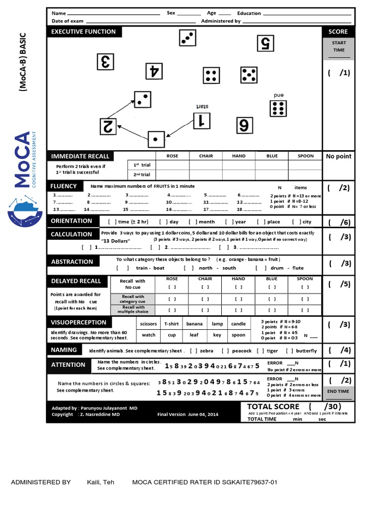 Moca Test In Different Languages – DGDE