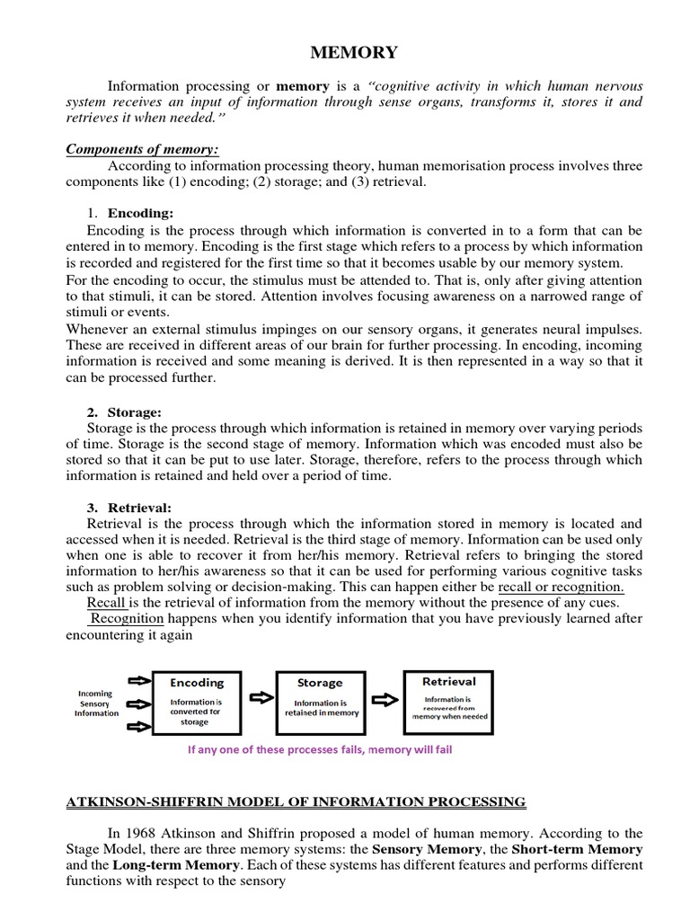 Memory Part 1 | PDF | Memory | Recall (Memory)