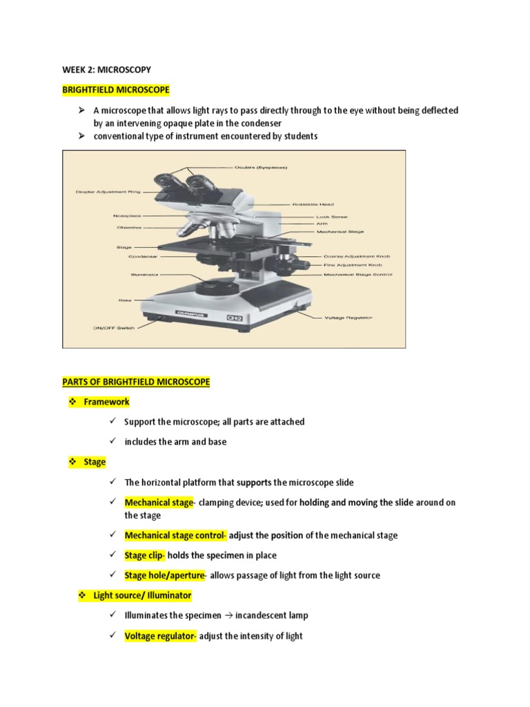 Brightfield Microscope and Parts | PDF | Epithelium | Bone