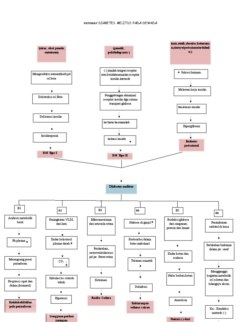 Woc Diabetes Melitus | PDF