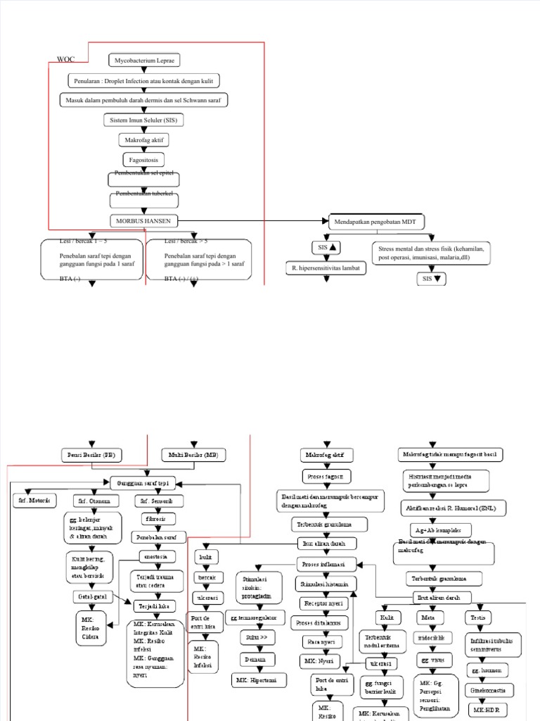 Dokumen - Tips Woc-Kusta | PDF