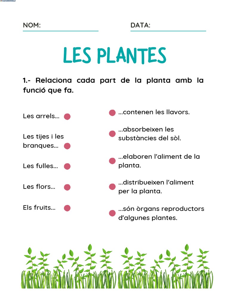 Les Plantes Exercicis | PDF