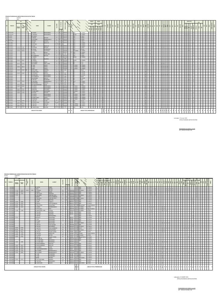 Rekapan Pemeriksaan Pasien 2021 | PDF