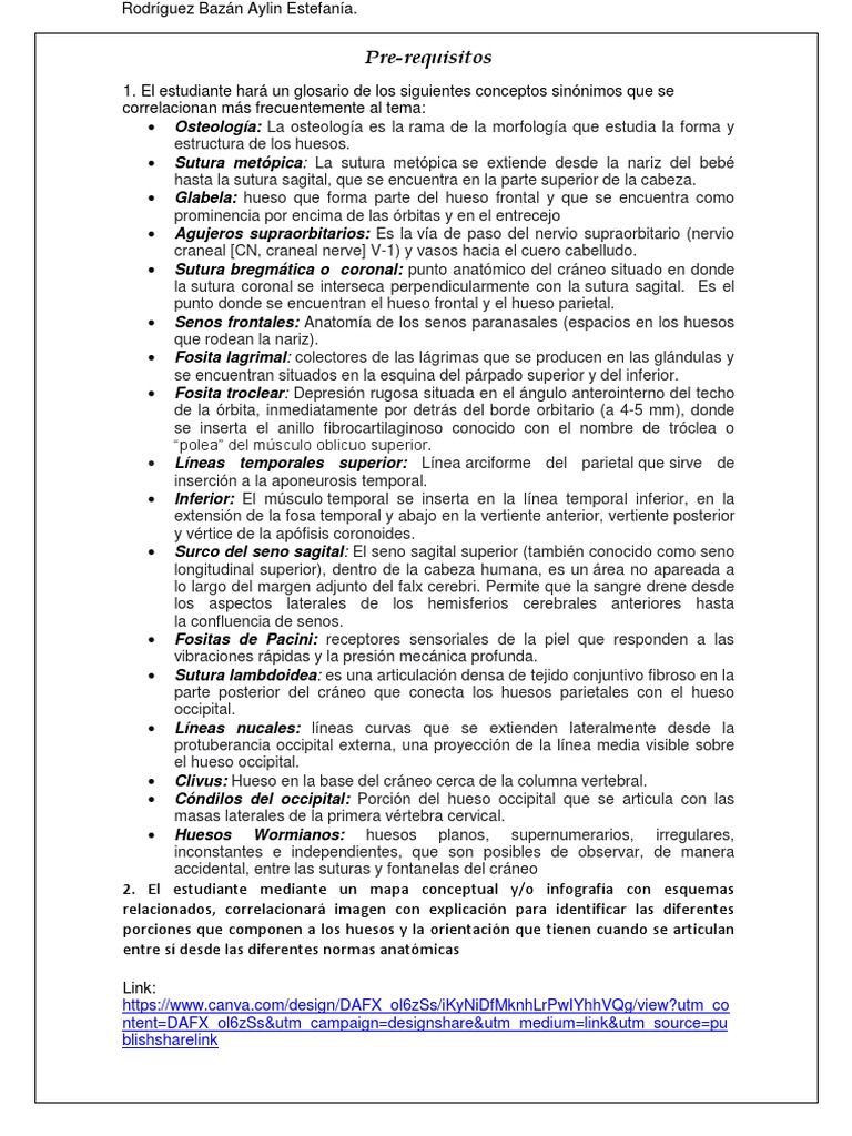 Guia v-3 Rodriguez Bazan Aylin | PDF | Cráneo | Sistema esquelético