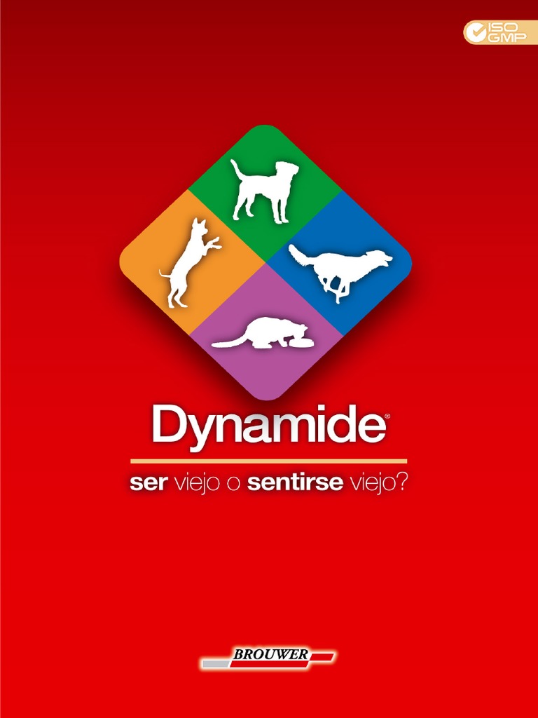 Triptico Dynamide - 5964 | PDF