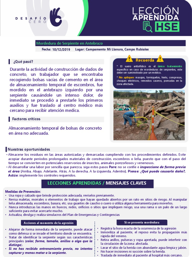 Mordedura de Serpiente en Antebrazo | PDF