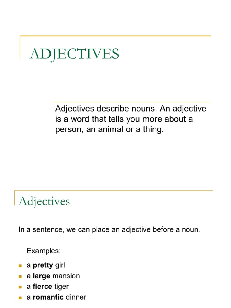 BEL120 - Adjectives | PDF | Camel | Adjective