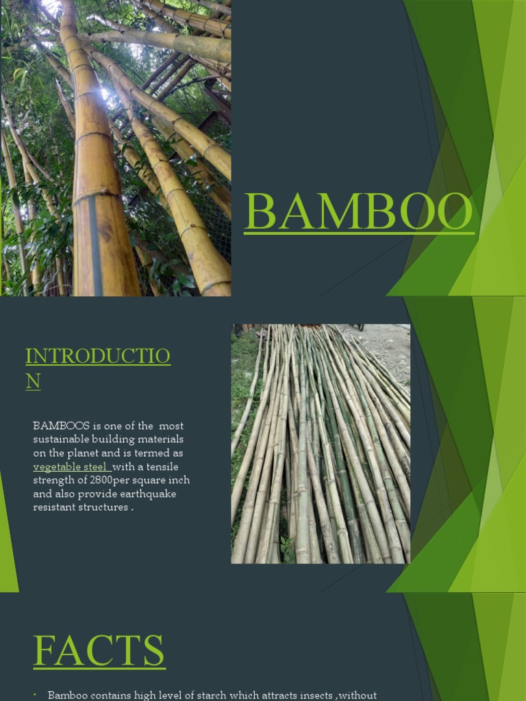 The Versatile Building Material: An Overview of Bamboo Properties, Uses ...