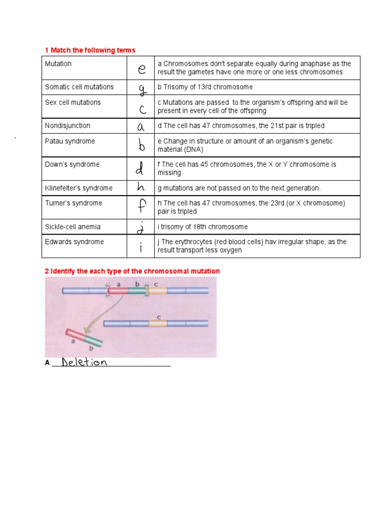 Edited - Mutation, Biotechnology, Genetic Engineering Worksheet | PDF ...