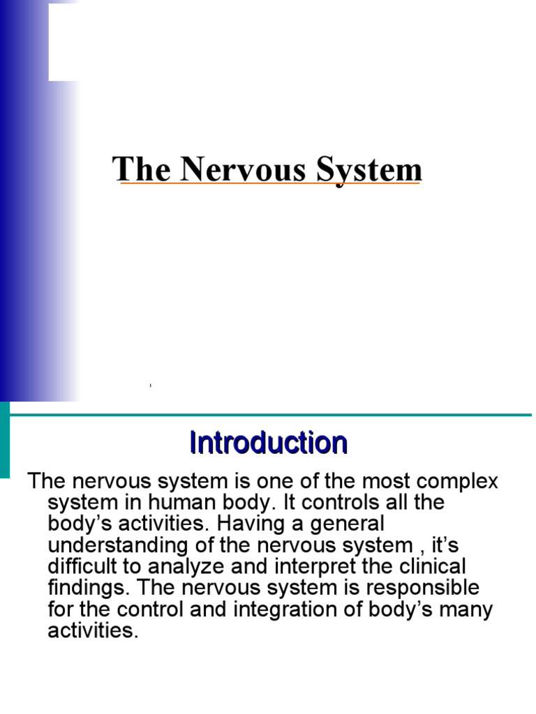 Anatomy and Physiology of Nervous System | PDF | Neuron | Axon