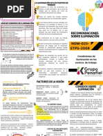 Triptico - Nom-001-Stps | PDF