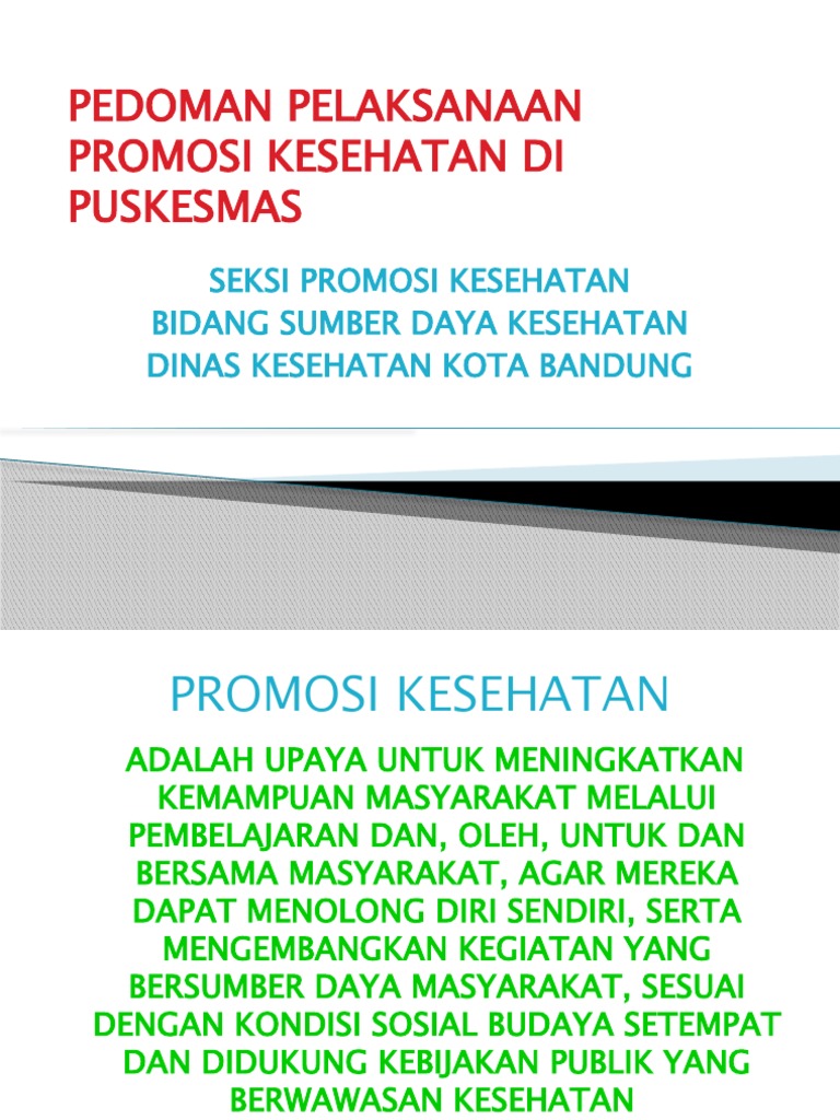 Pedoman Pelaksanaan Promosi Kesehatan Di Puskesmas | PDF