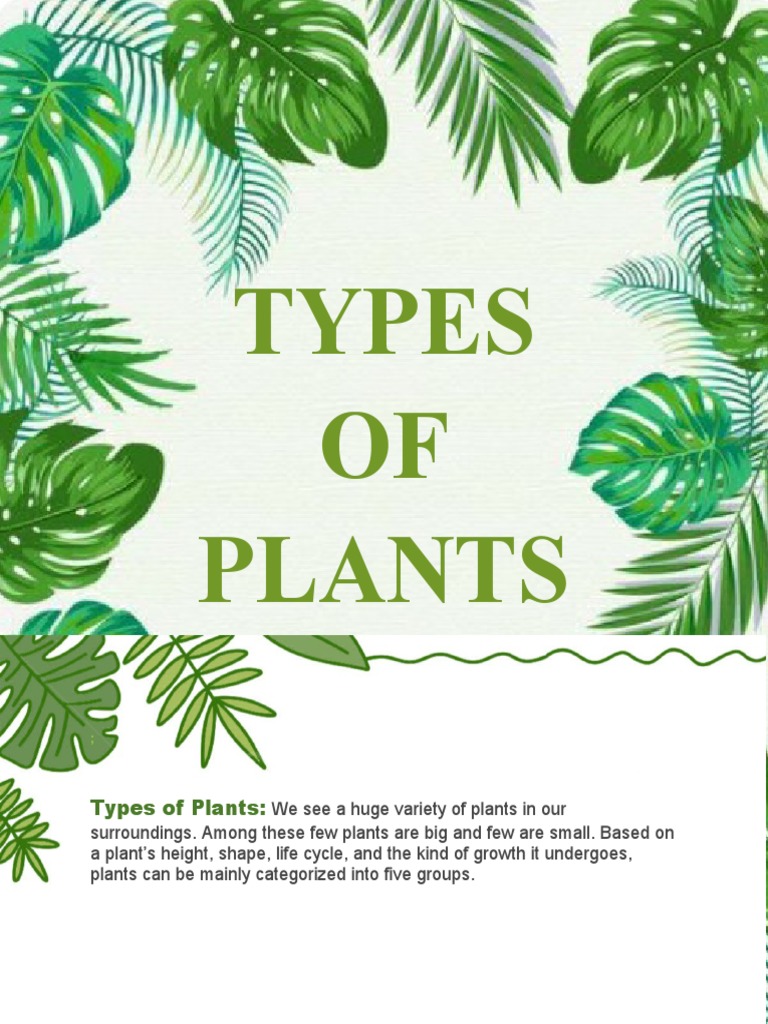 Types of Plants | PDF | Home & Garden