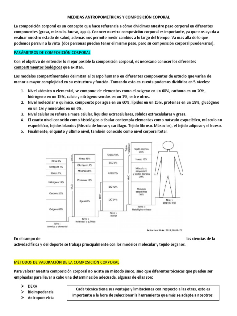 Resumen Medidas y Composicion Corporal | PDF