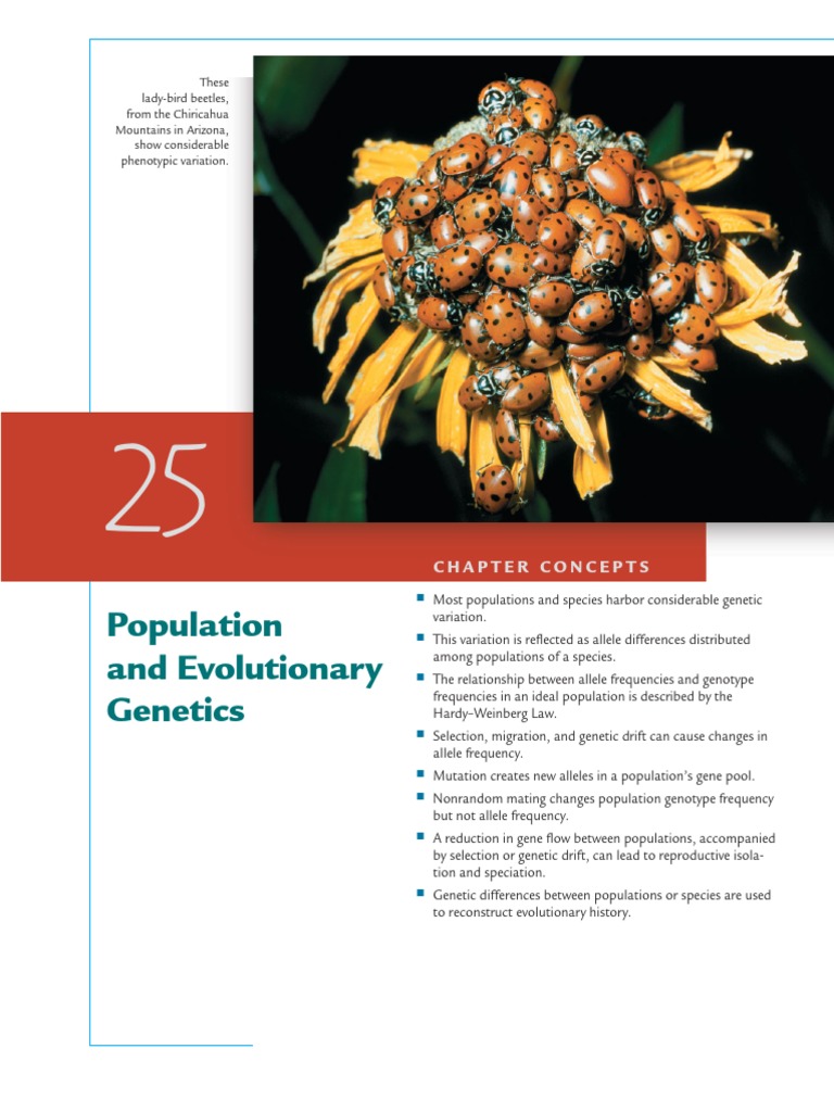 Population and Evolutionary Genetics | PDF | Allele | Zygosity