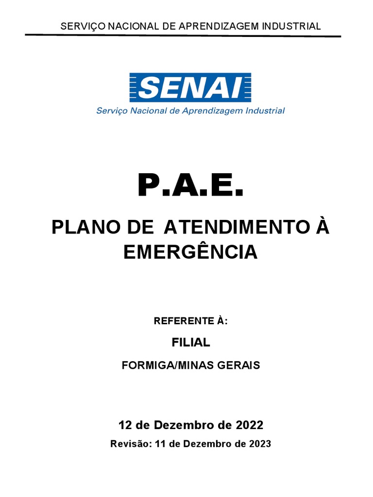 Cópia de PAE DOC EDITÁVEL | PDF