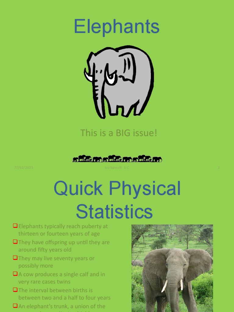 Elephants IVODPINELLI | PDF