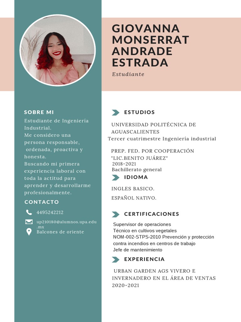 PDF Plantilla Canva | PDF
