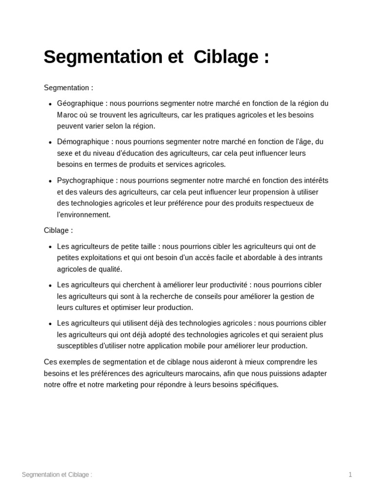 Segmentation Et Ciblage Pdf