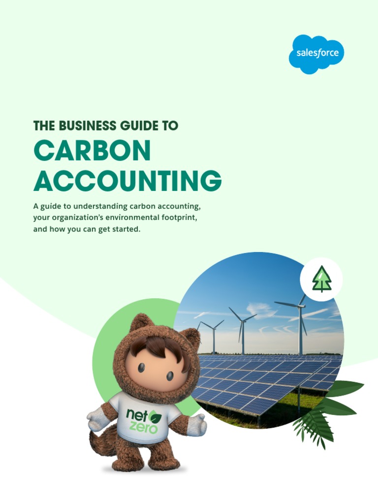 Net Zero Cloud Business Guide To Carbon Accounting | PDF | Greenhouse ...