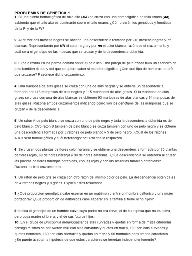 Problemas de Genética: Ejercicios Resueltos | PDF | Dominancia ...
