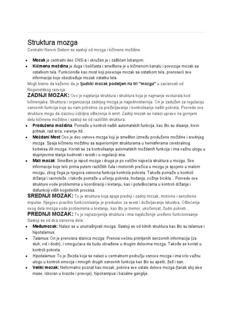 Struktura Mozga | PDF