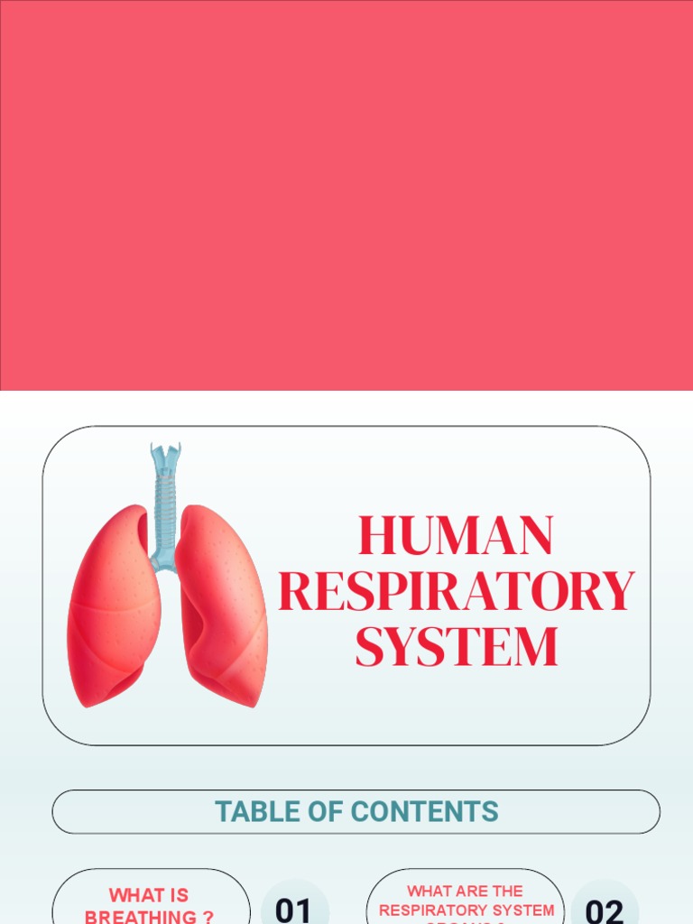 Respiratory System Workshop For Medical Students by Slidesgo | PDF