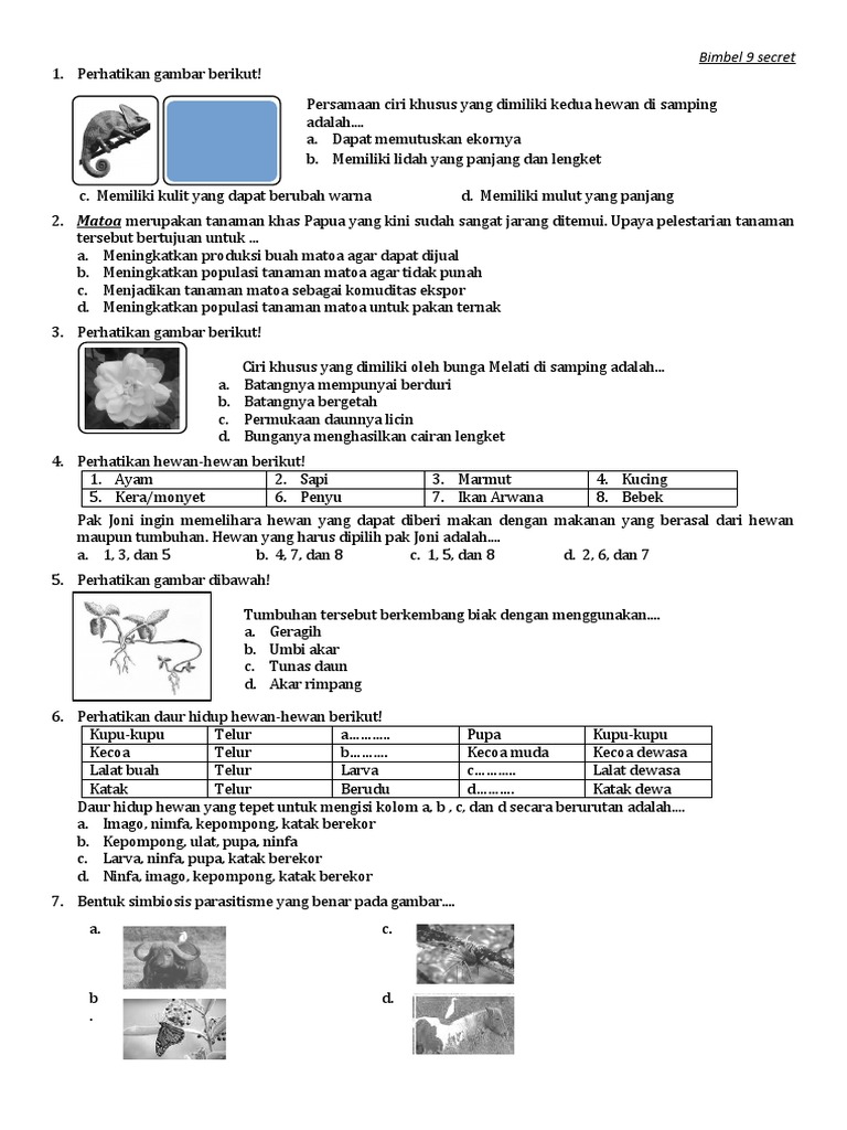 Latihan Uas Ipa Kls 62 | PDF