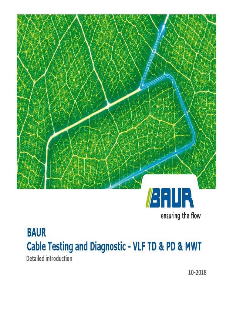 Introduction BAUR Products VLF TD PD MWT IEEE 2018 | PDF | Electric ...