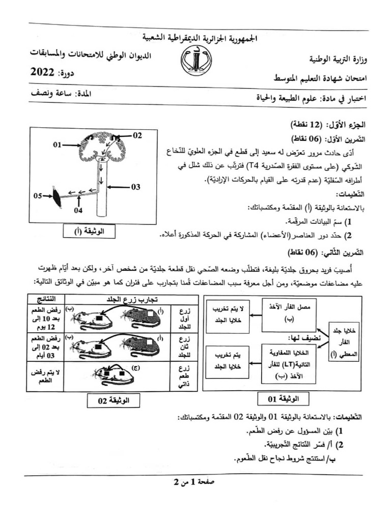 Bem Sciences 2022 | PDF