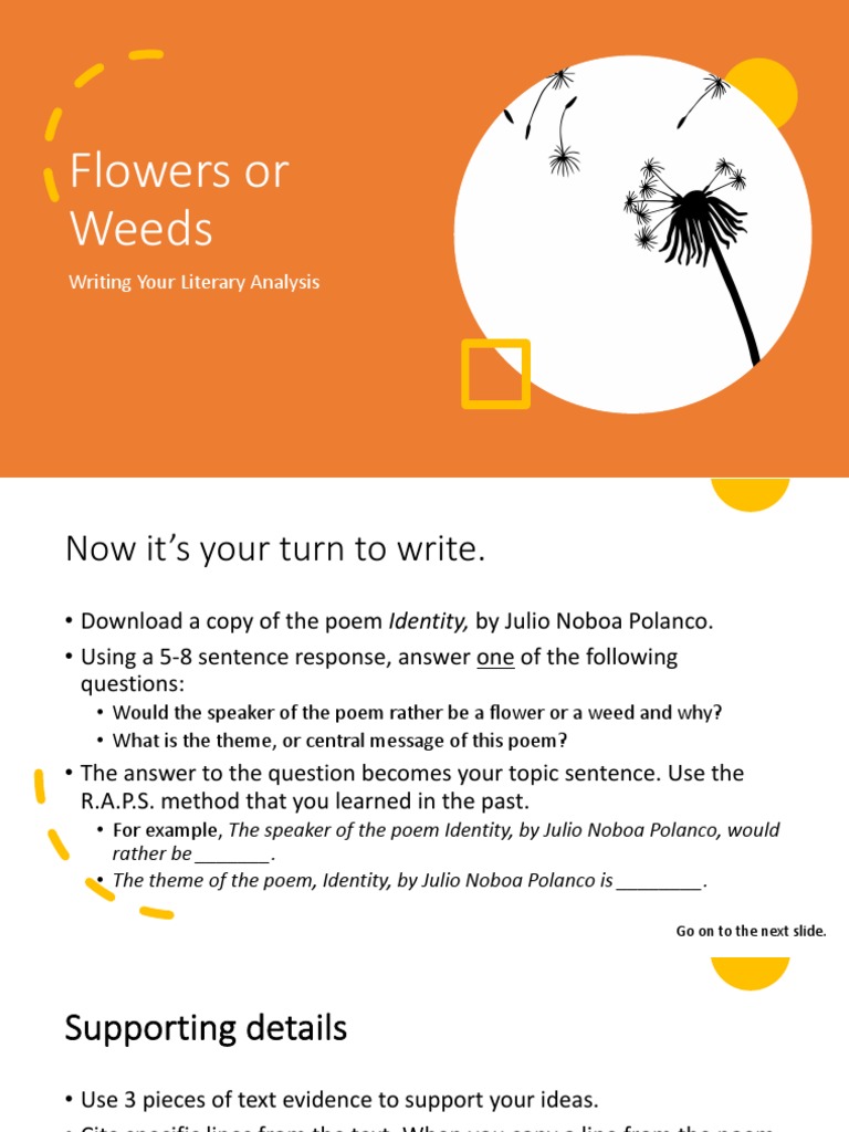 Identity Literary Analysis | PDF | Poetry | Writing