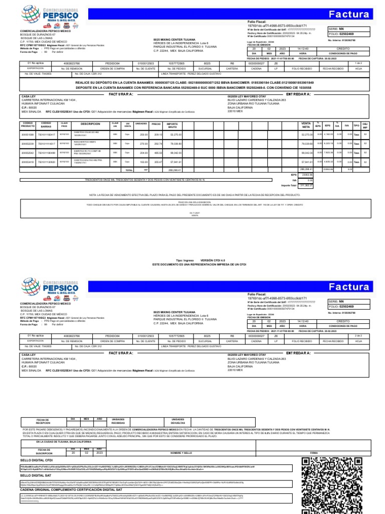 Recibo de Nómina PepsiCo México | PDF | Pepsi Co