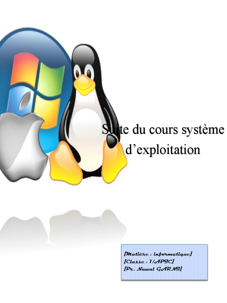 1 Apic | PDF | DoubleClick | Application