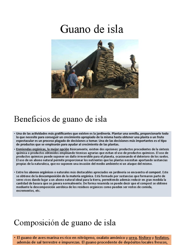 Beneficios del Guano de Isla en Jardinería | PDF | Química | Ciencias ...