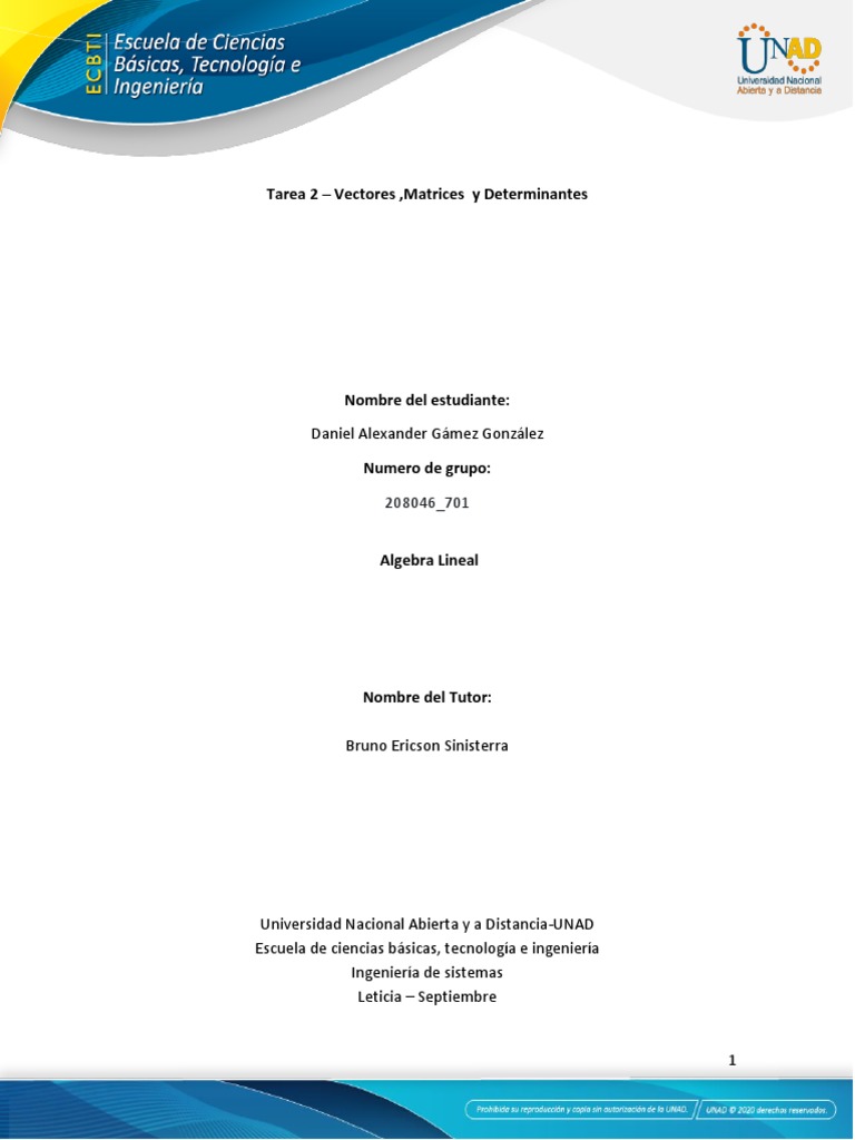 Tarea2 208046 701 Daniel Gamez | PDF | Determinante | Matriz (Matemáticas)