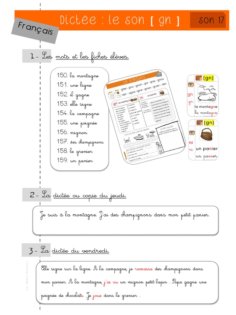 Dictée CE1 : le son [gn] en contexte | PDF
