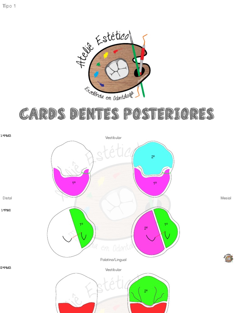 An Illustrated Guide to Dental Anatomy Showing Tooth Morphology and ...